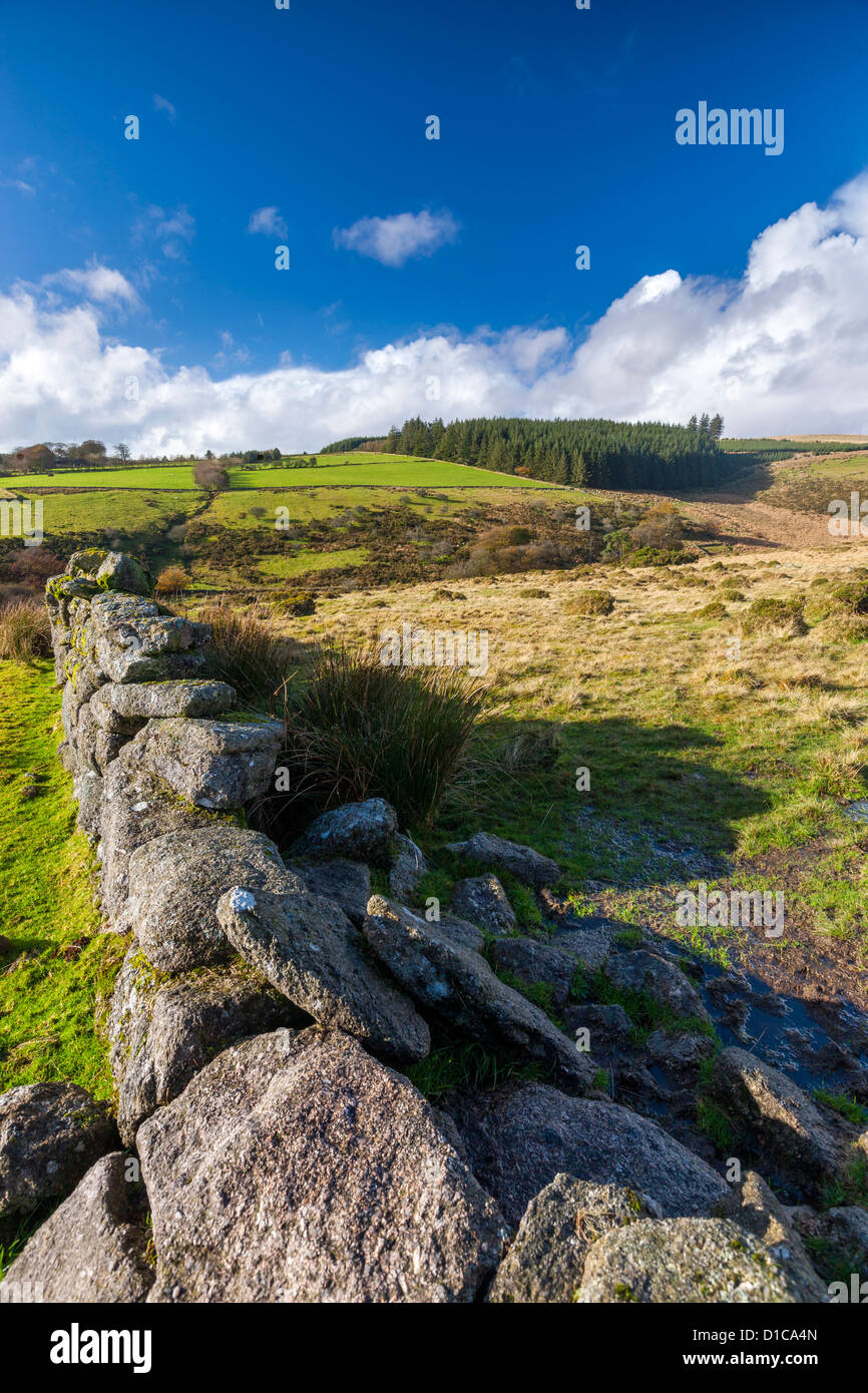 Valley of the West Dart River near Two Bridges in the Dartmoor National ...