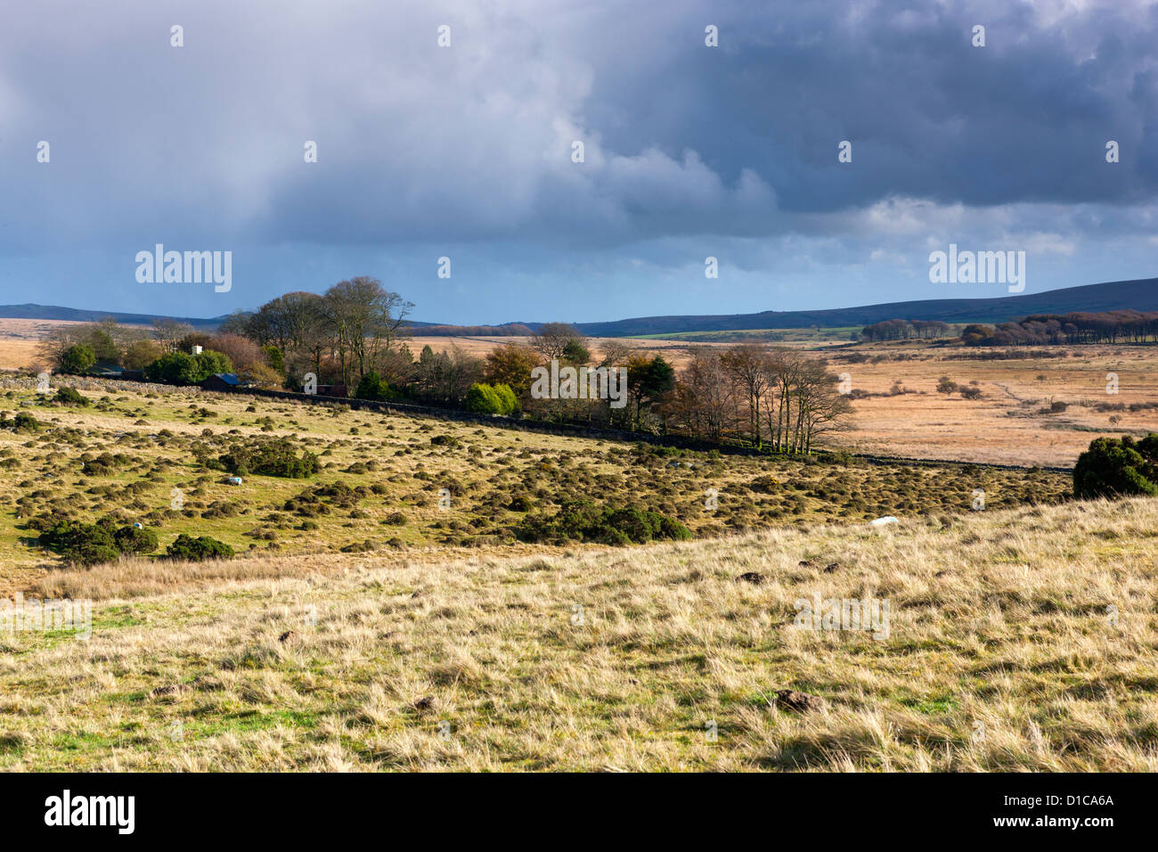 Valley of the West Dart River near Two Bridges in the Dartmoor National ...