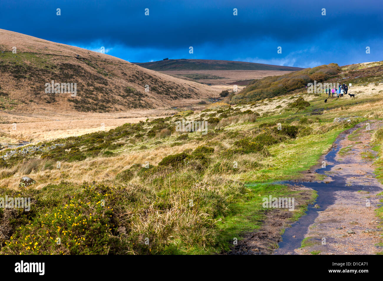 Valley of the West Dart River near Two Bridges in the Dartmoor National ...