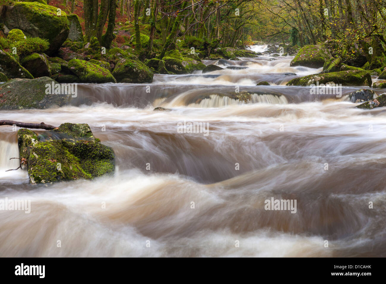 Rocky River Plym flowing through Dewerstone Wood near Shaugh Prior in ...