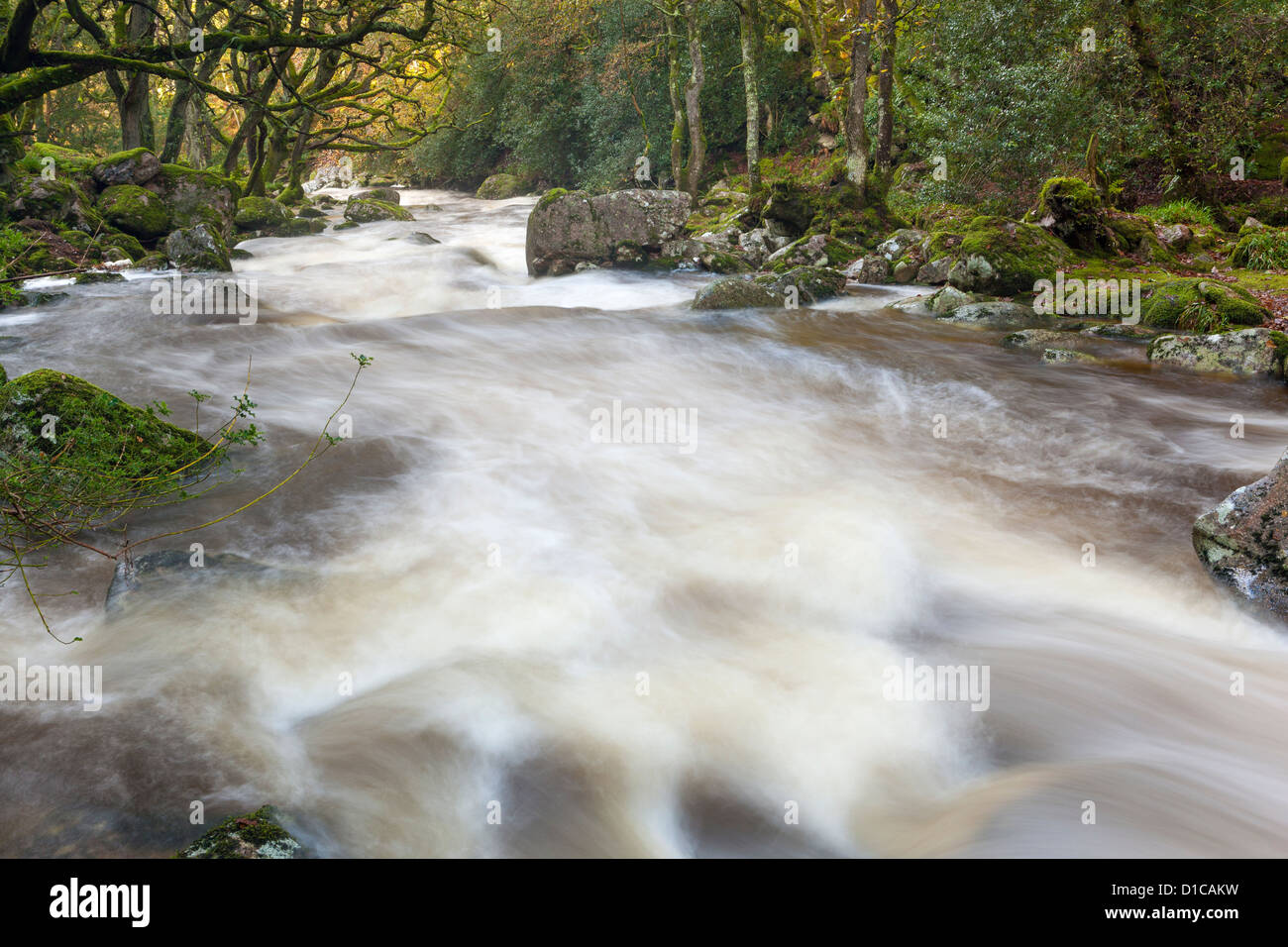 Rocky River Plym flowing through Dewerstone Wood near Shaugh Prior in ...