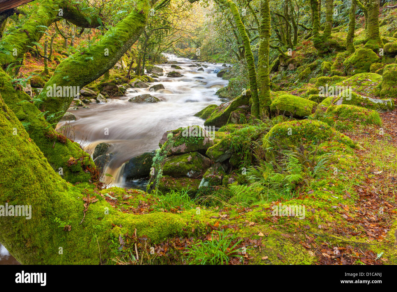 Plym stone hi-res stock photography and images - Alamy