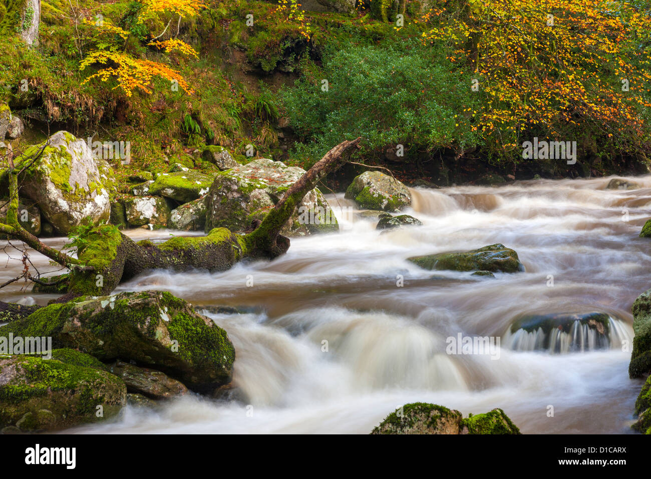 Plym stone hi-res stock photography and images - Alamy