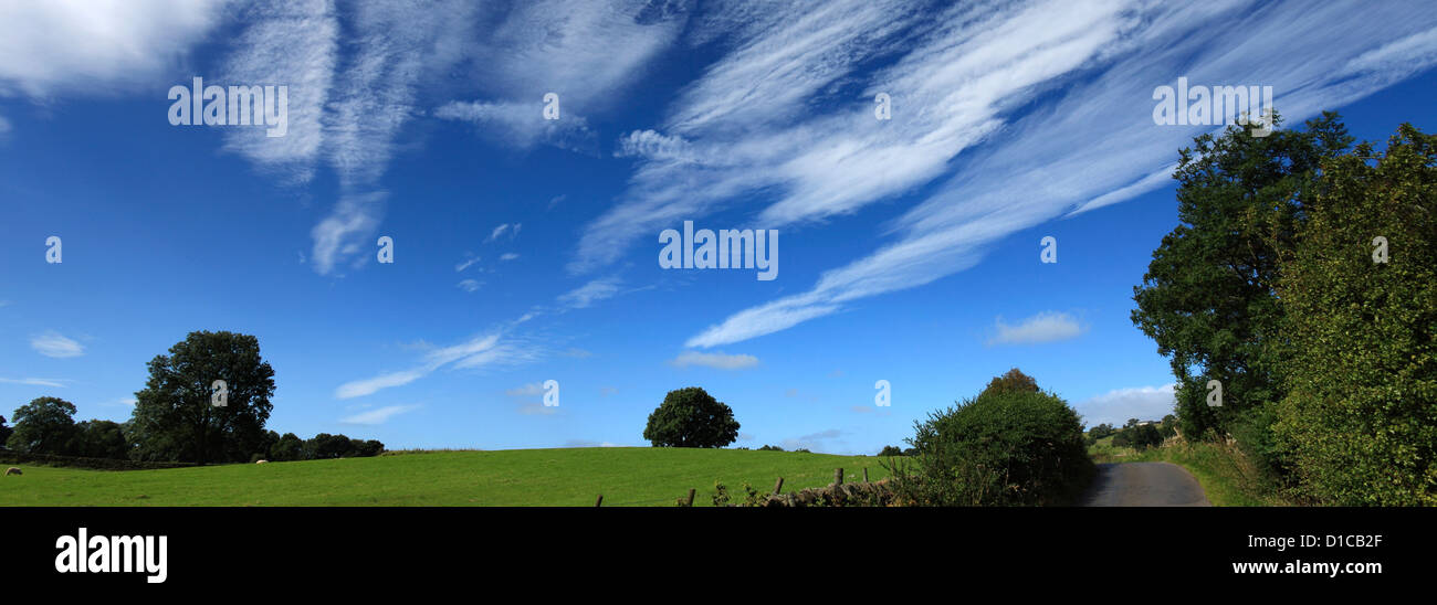 Summer blue skies Landscape view over Cotherstone Moor, Upper Teesdale ...