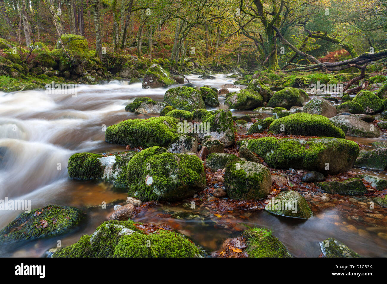 River plym hi-res stock photography and images - Alamy