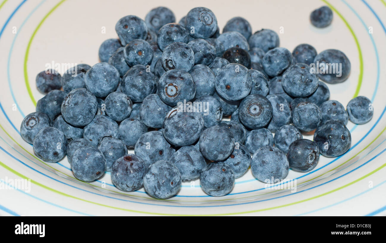 American Blueberries on a plate Stock Photo - Alamy
