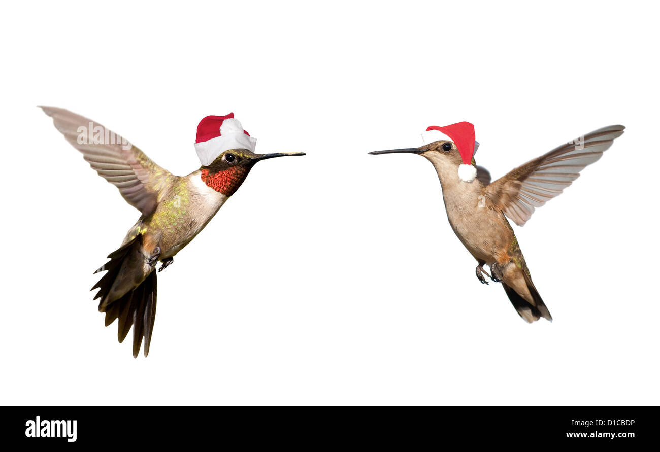 Ruby red hats hi-res stock photography and images - Alamy