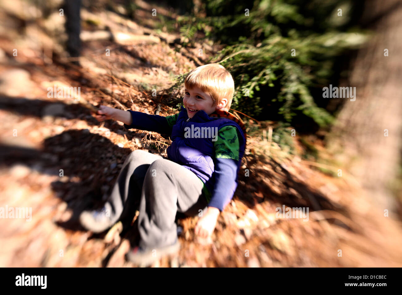 Little boy falling down while on a hike in the woods on a fall day ...