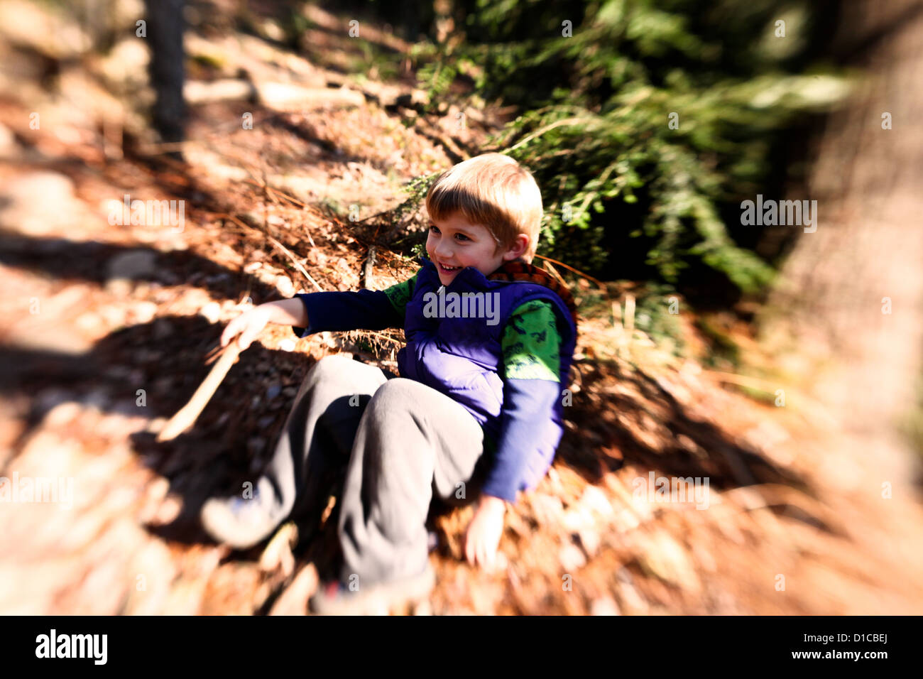 Little boy falling down while on a hike in the woods on a fall day ...