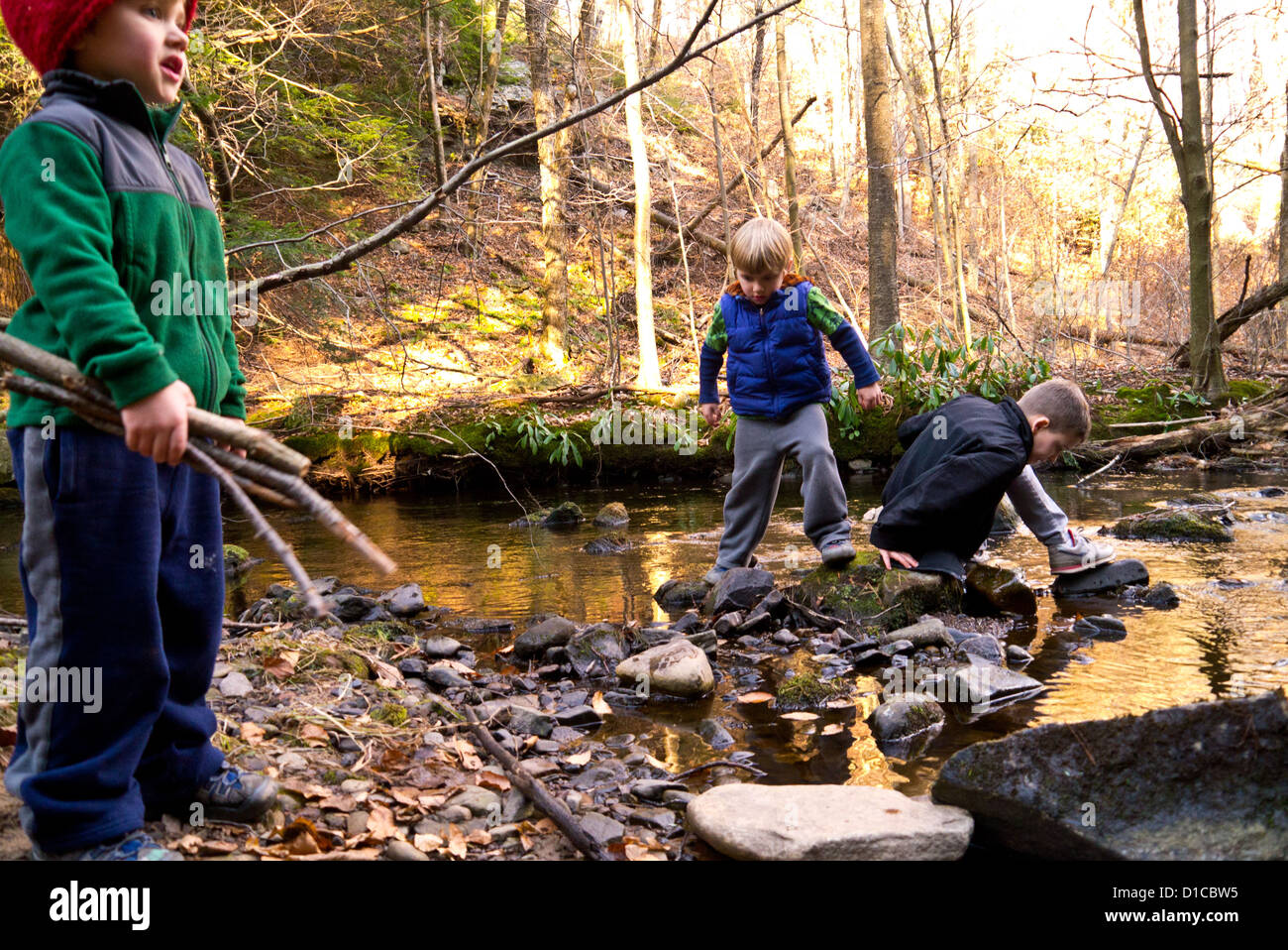 Three little boys playing in and around a stream on a fall day Stock ...
