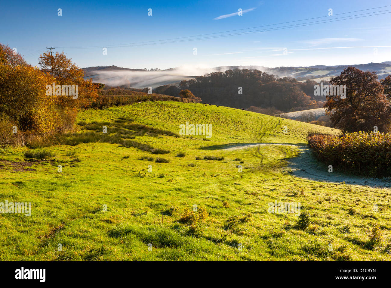 Countryside near Dunsford in Devon Stock Photo - Alamy