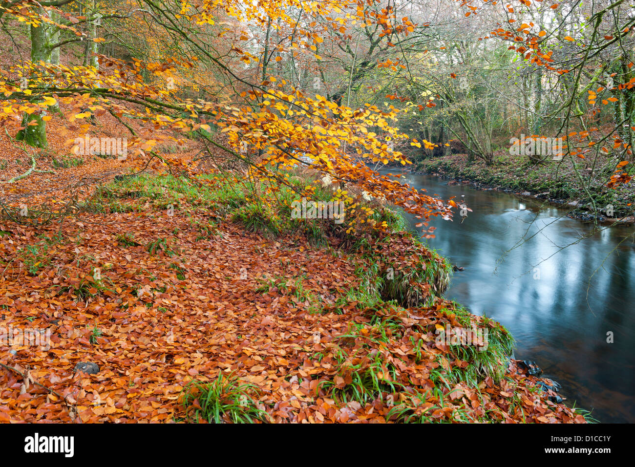 Teign valley river hi-res stock photography and images - Alamy