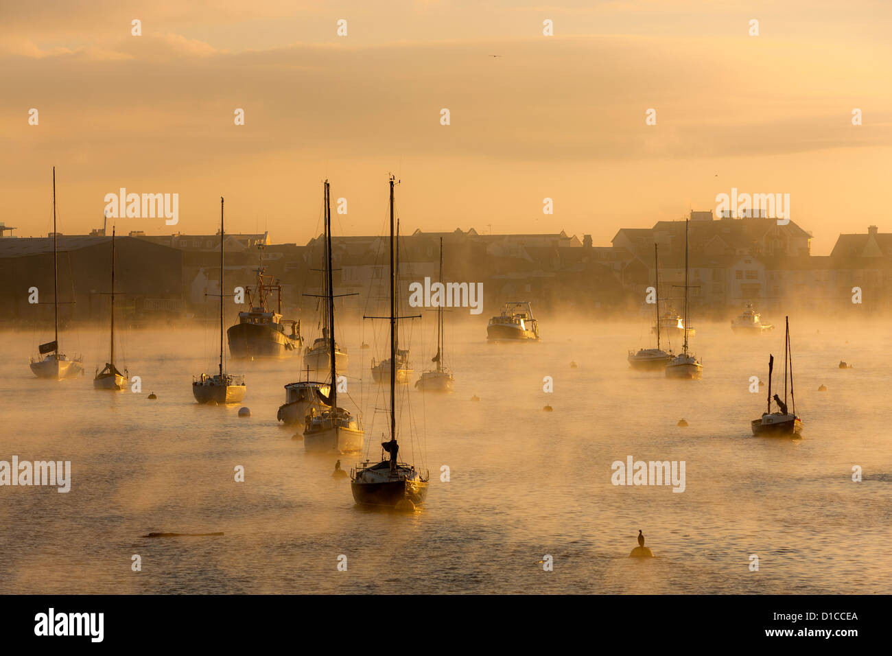 Teign Estuary High Resolution Stock Photography and Images - Alamy