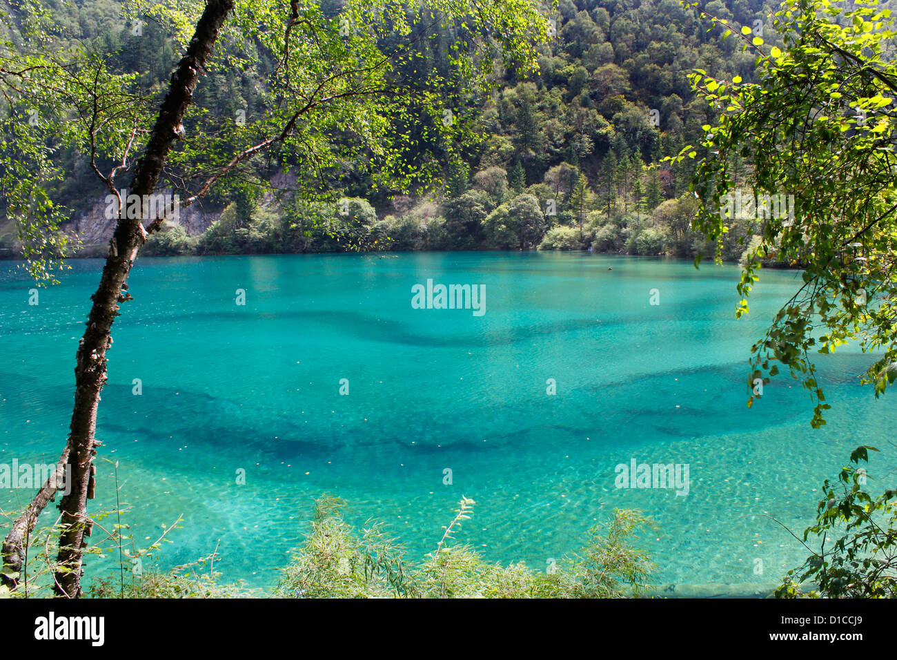 Southwestern china hi-res stock photography and images - Alamy