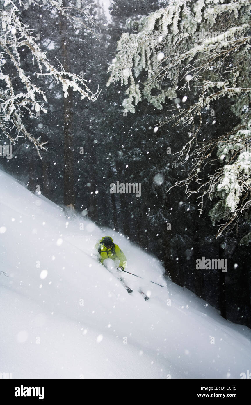 Man backcountry forest skiing in deep powder snow at Taos Ski Resort ...