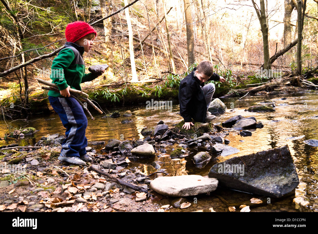 Two little boys playing in and around a stream on a fall day Stock ...