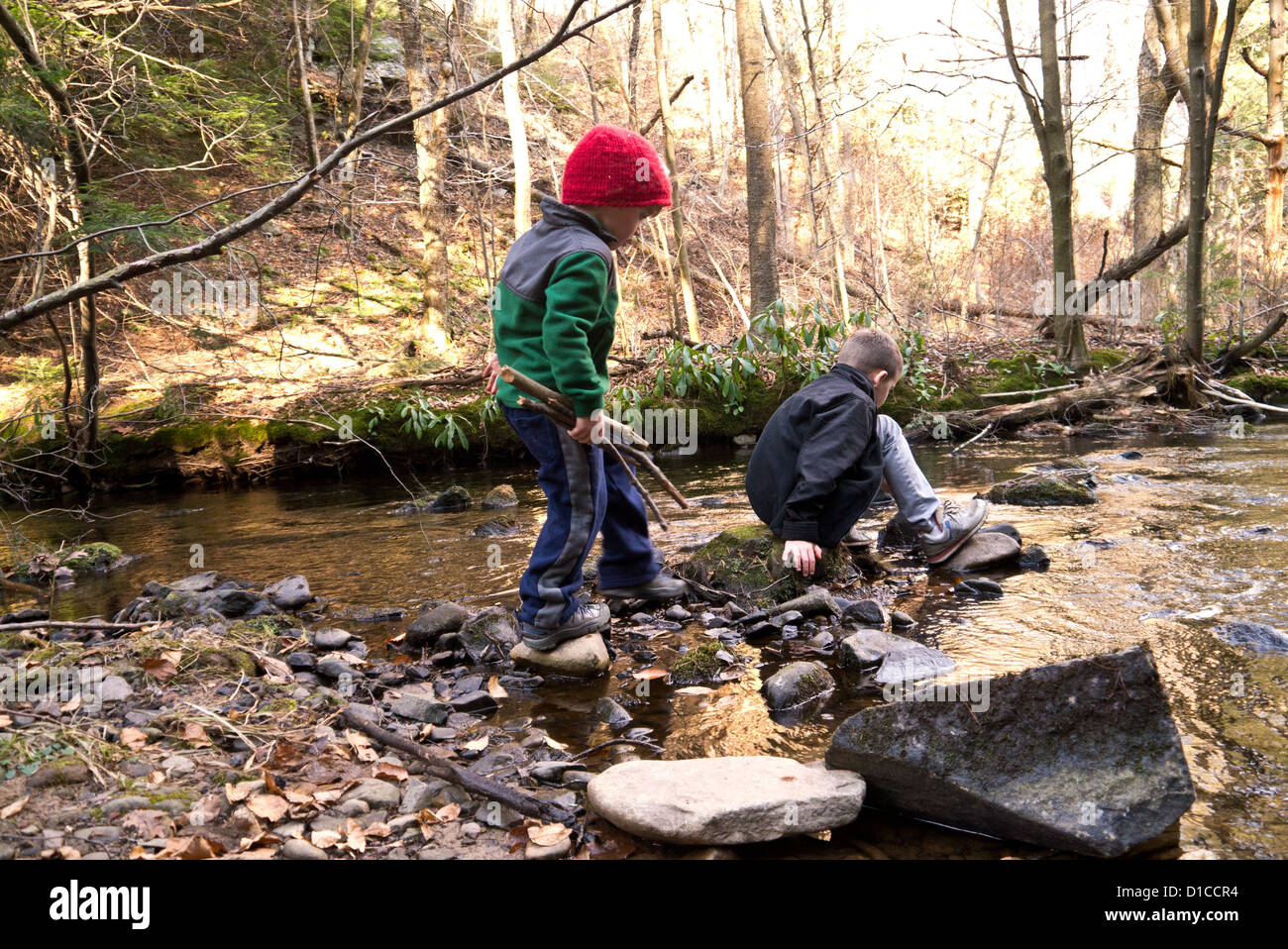 Two little boys playing in and around a stream on a fall day Stock ...