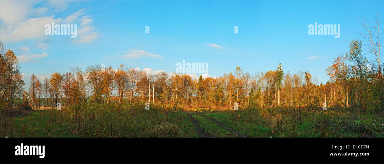 Vertical view through green wire hi-res stock photography and images ...