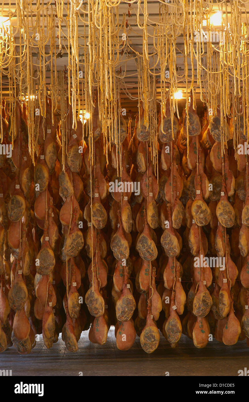 Cured ham trevelez andalusia spain hi-res stock photography and images ...