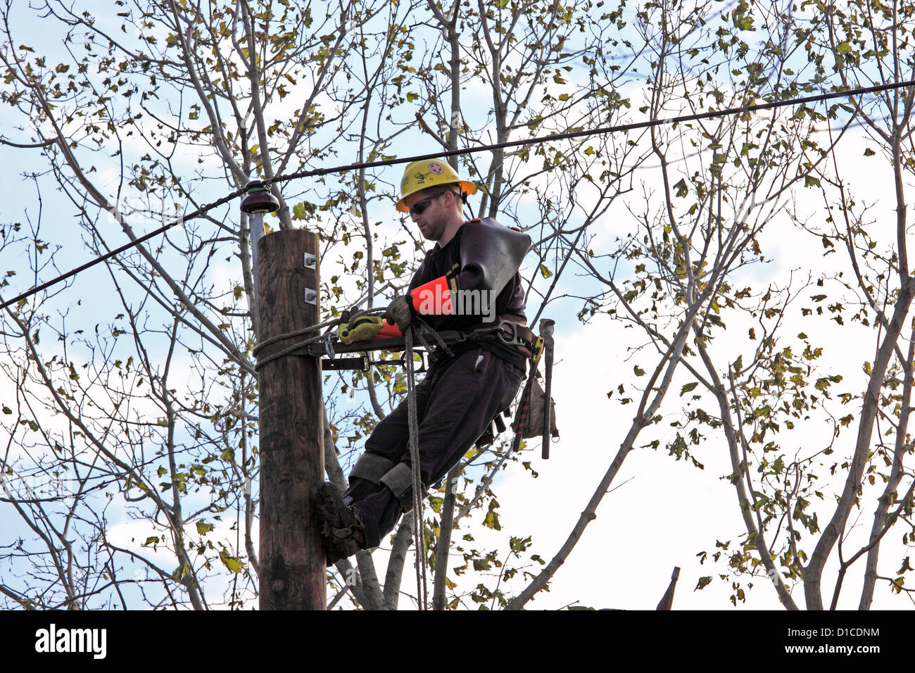 Worker climbing utility pole hi-res stock photography and images - Alamy