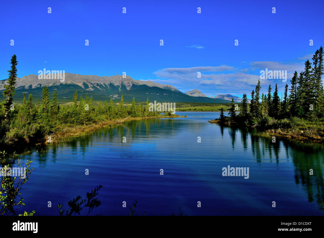 A summer landscape image of Jasper Lake in Jasper National Park Stock ...