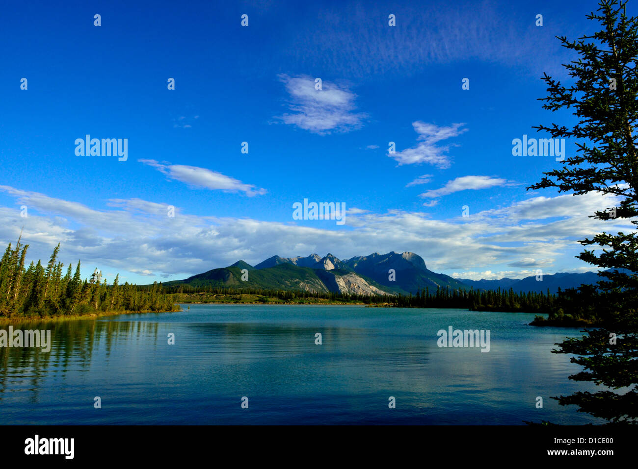 A summer landscape image of Jasper Lake in Jasper National Park Stock ...