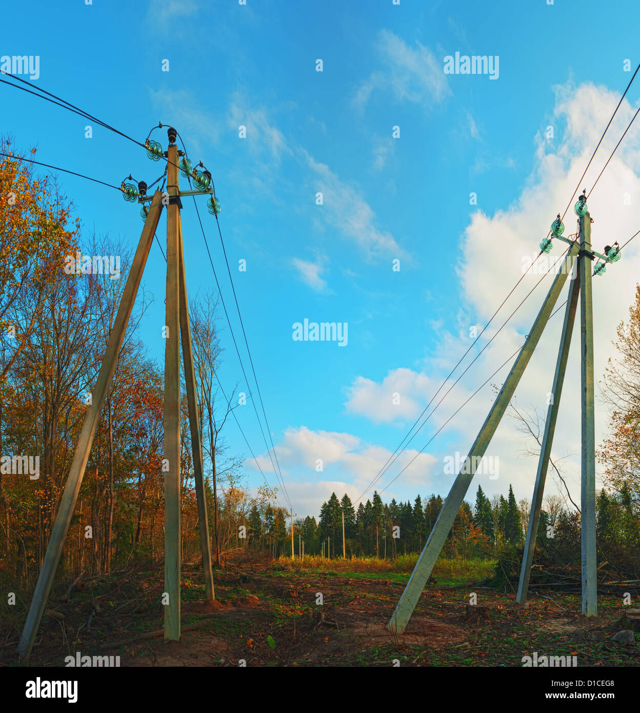 Columns and power line wires through the autumn forest. Power line ...
