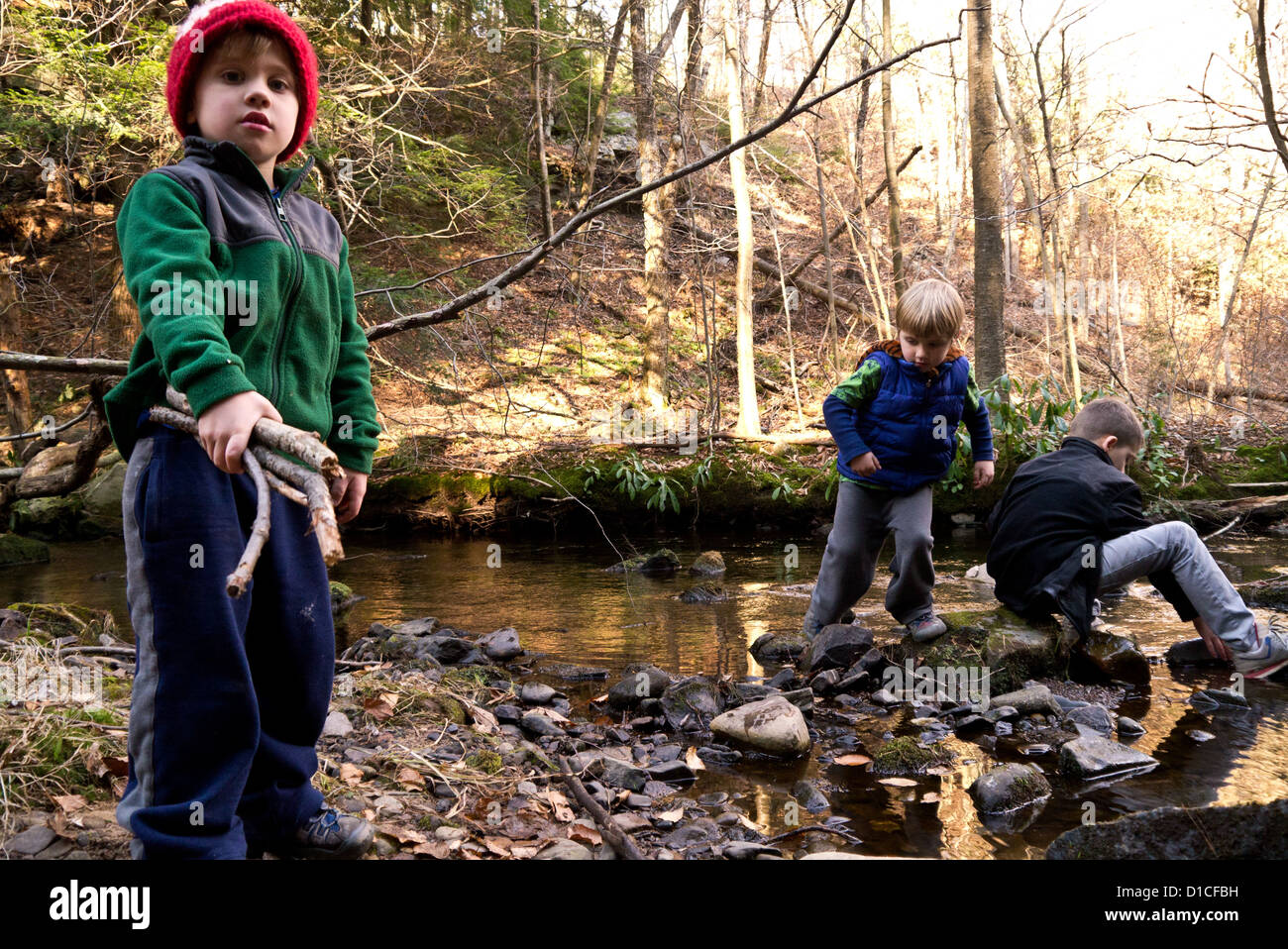 Three little boys playing in and around a stream on a fall day Stock ...