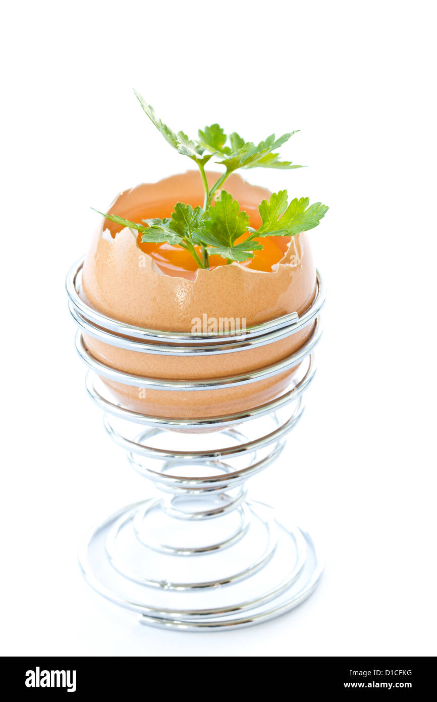 Egg in shell Cut Out Stock Images & Pictures - Alamy