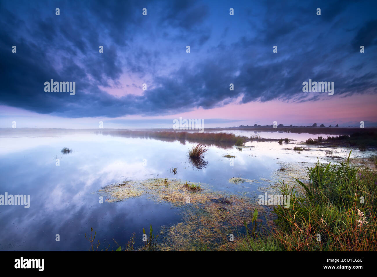 swamp in fog at dramatic early sunrise Stock Photo - Alamy