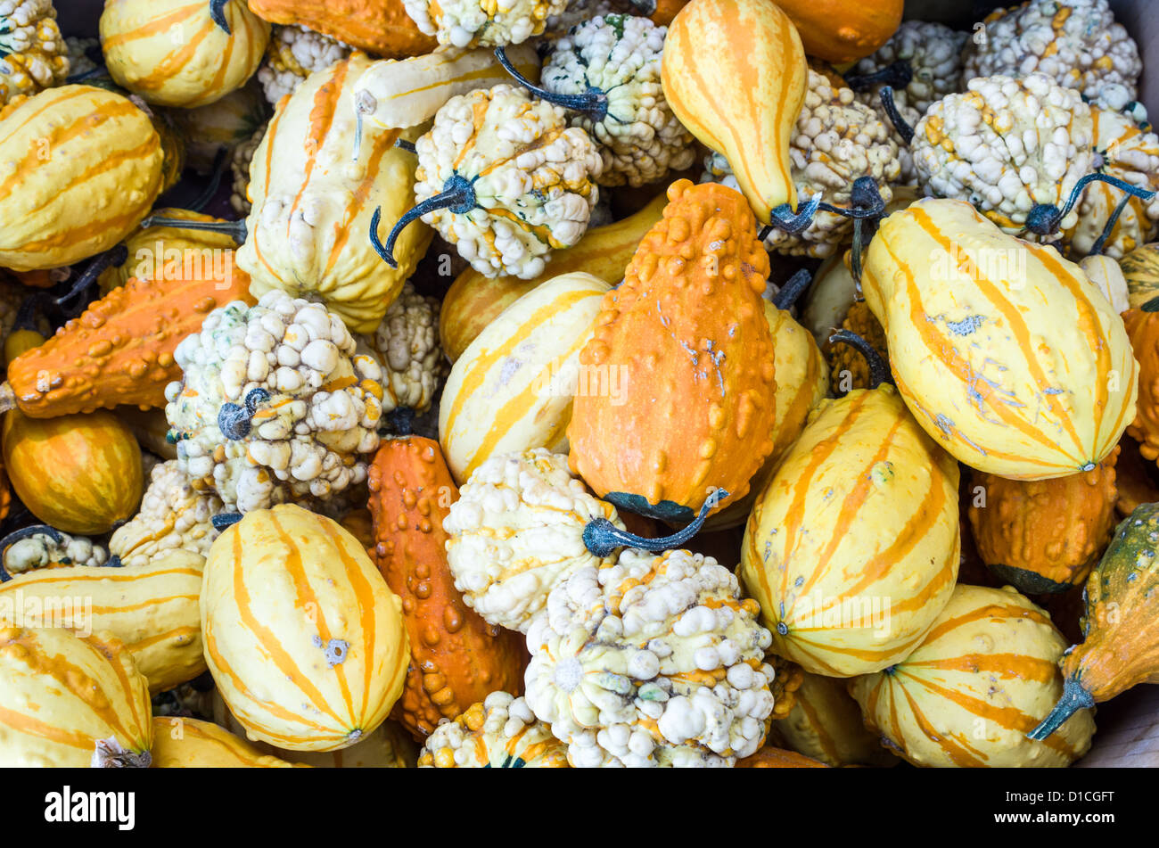A display of decorative gourds at the market Stock Photo - Alamy