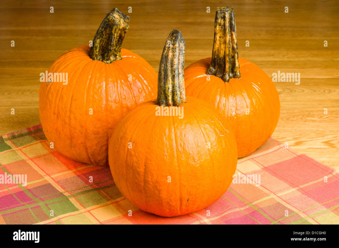 Three october festival hi-res stock photography and images - Alamy