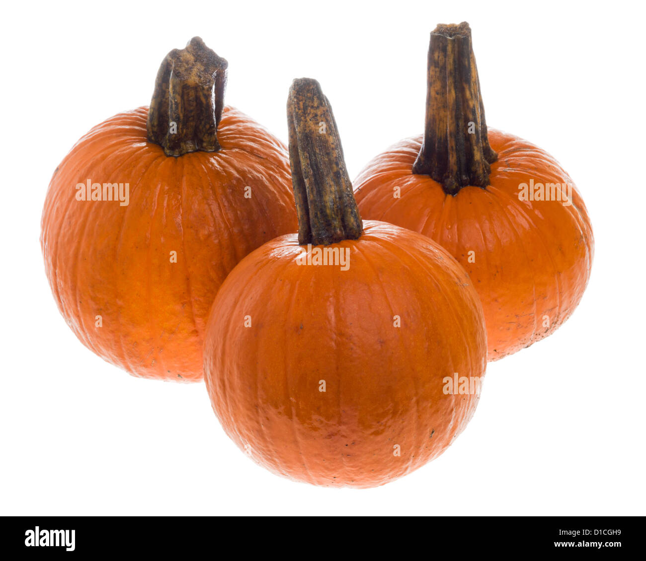 Three october festival hi-res stock photography and images - Alamy