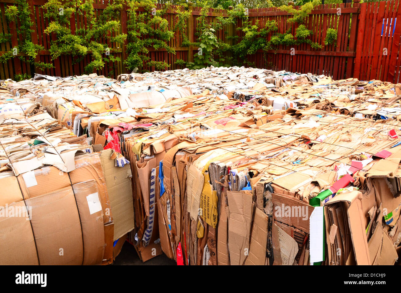 Bales of cardboard boxes Stock Photo - Alamy