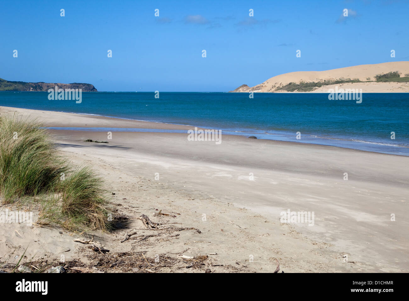 Hokianga Harbour, looking toward entrance, north island, New Zealand ...