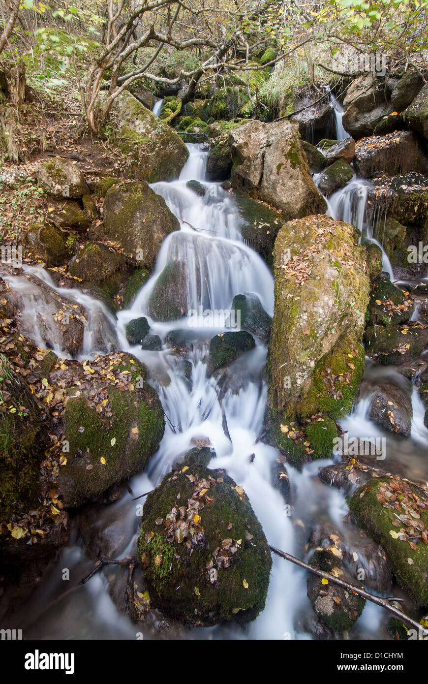 A brook in a forest in Autumn Stock Photo - Alamy