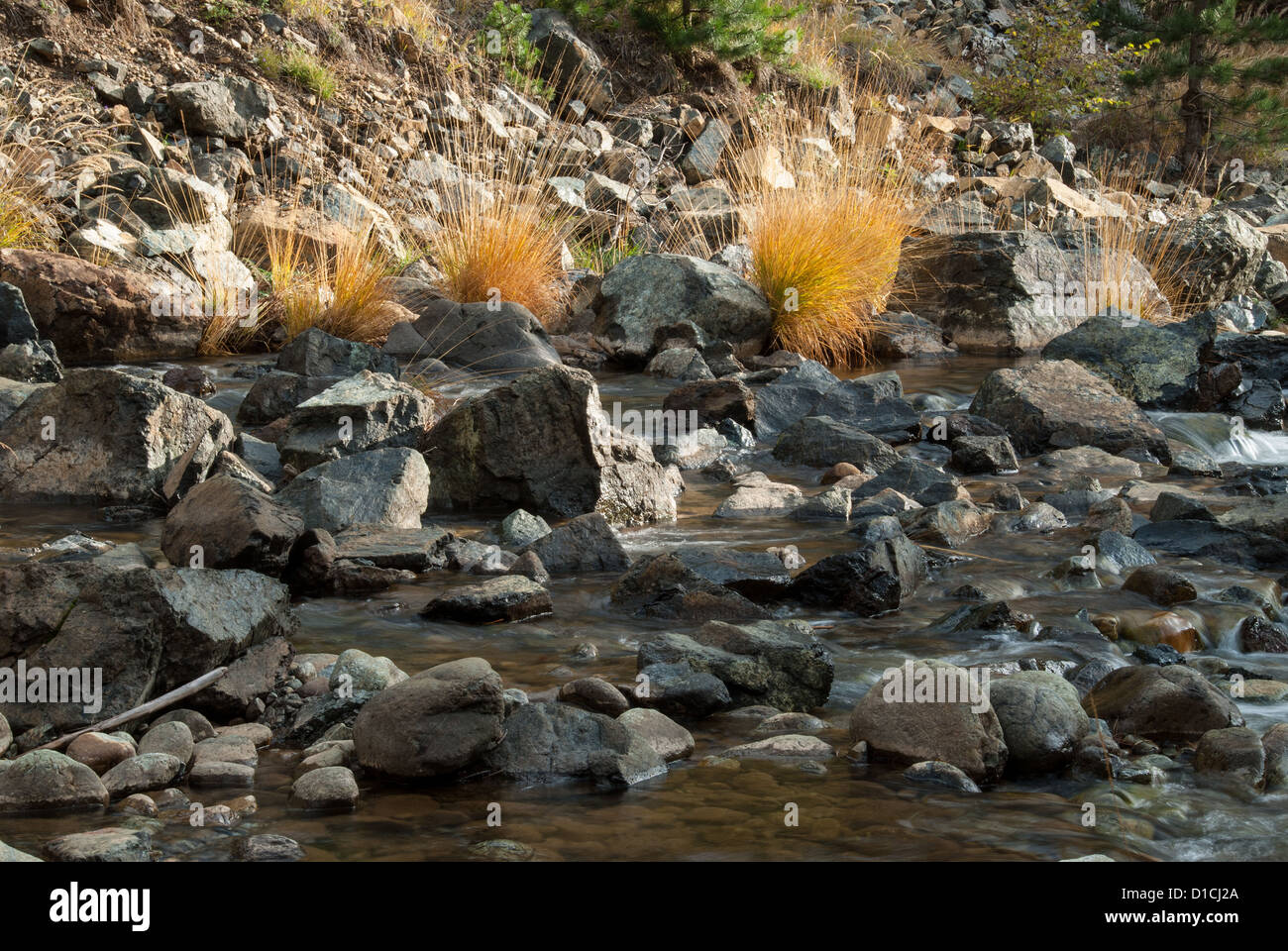 Pebbles in stream hi-res stock photography and images - Alamy