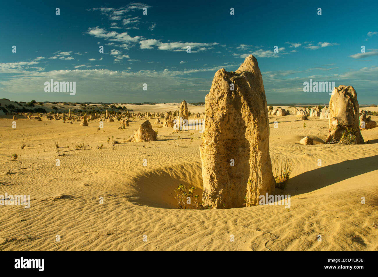 Ancient limestone formations in the Pinnacles Desert, Nambung National ...