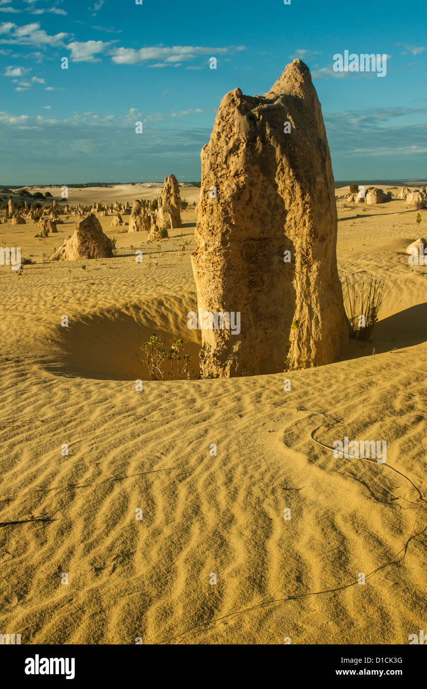 Ancient limestone formations in the Pinnacles Desert, Nambung National ...