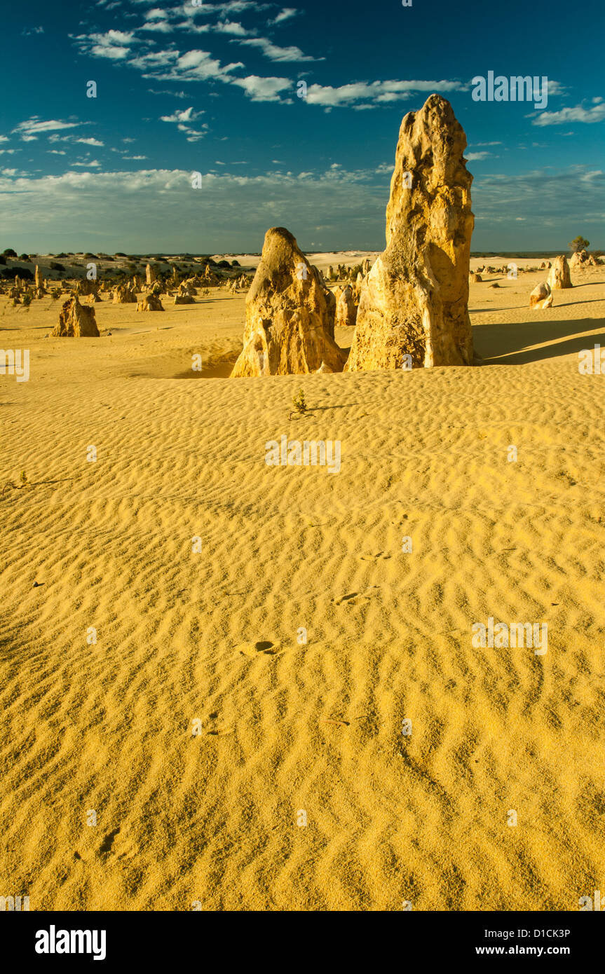 Ancient limestone formations in the Pinnacles Desert, Nambung National ...