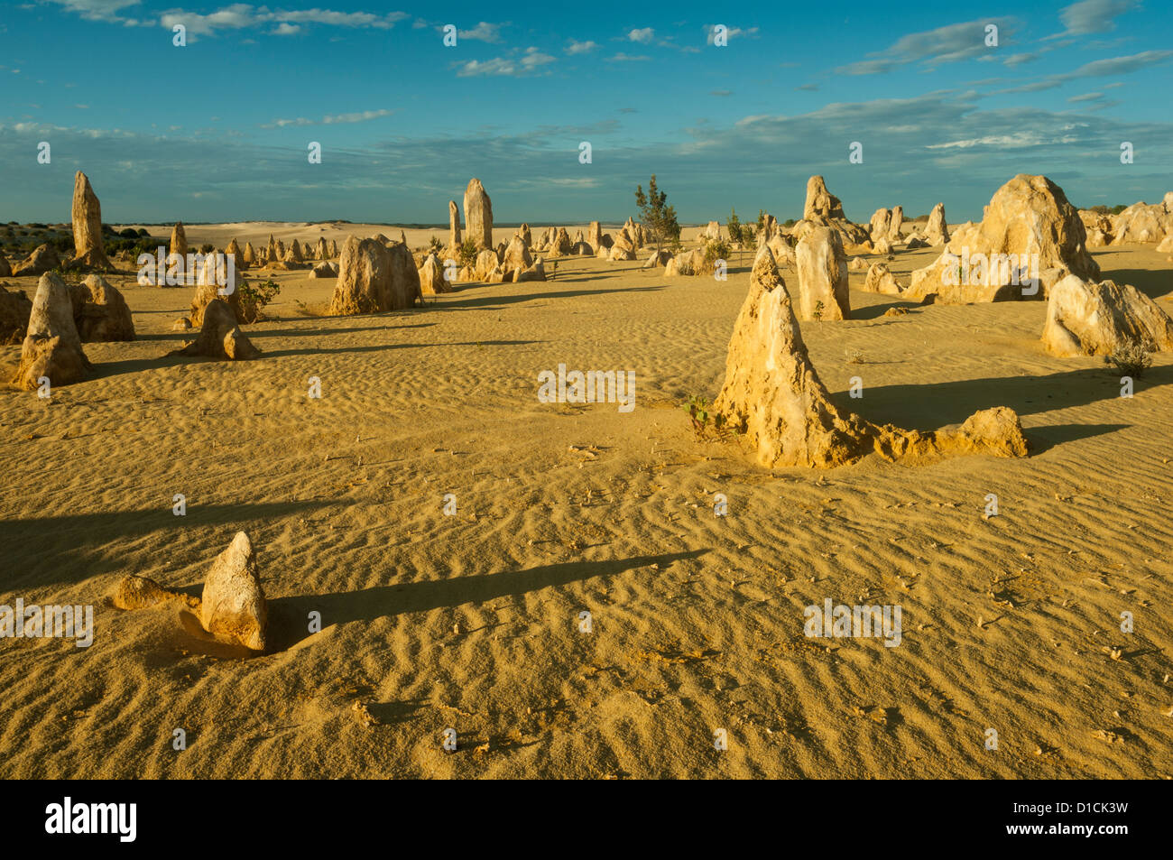 Ancient limestone formations in the Pinnacles Desert, Nambung National ...