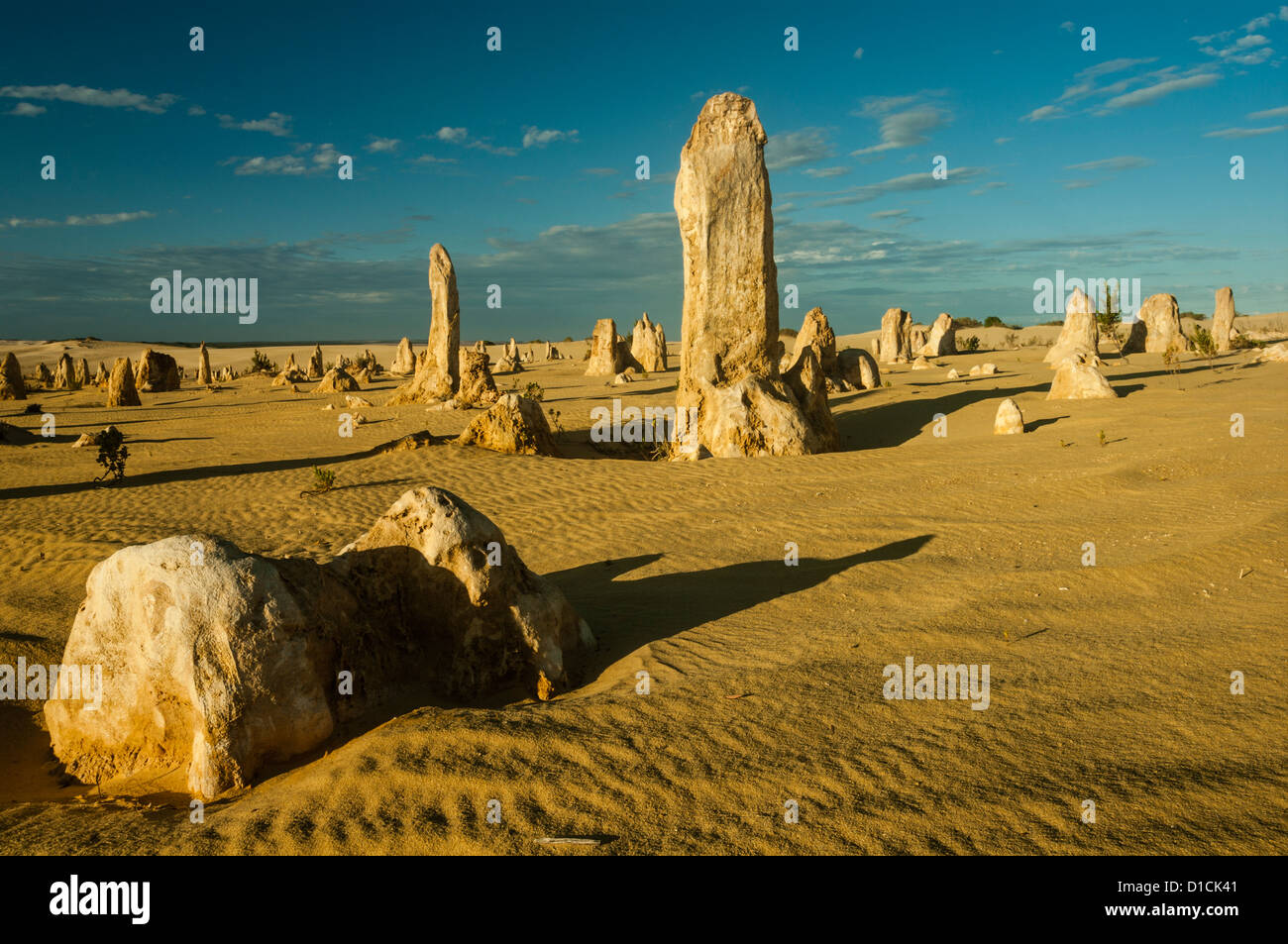 Ancient limestone formations in the Pinnacles Desert, Nambung National ...