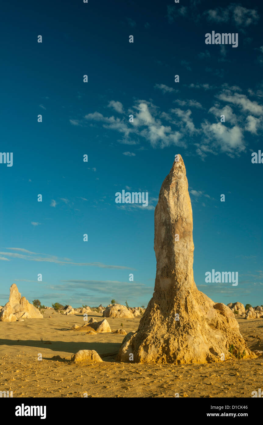 Ancient limestone formations in the Pinnacles Desert, Nambung National ...