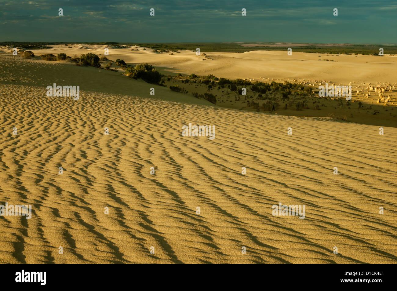 Ancient limestone formations in the Pinnacles Desert, Nambung National ...