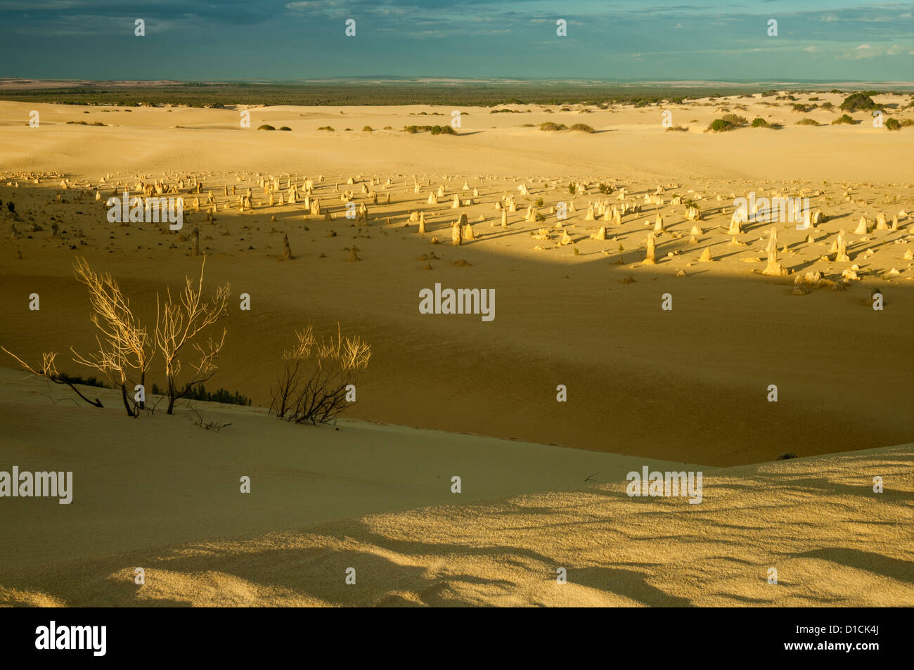 Ancient limestone formations in the Pinnacles Desert, Nambung National ...