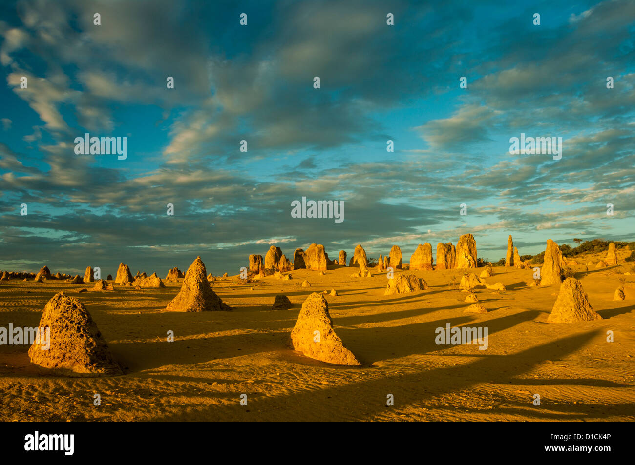Ancient limestone formations in the Pinnacles Desert, Nambung National ...