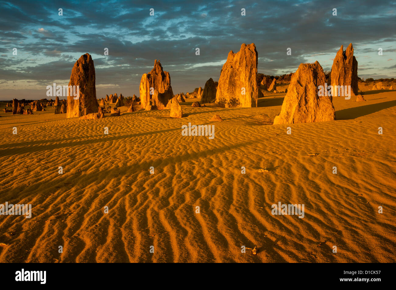 Ancient limestone formations in the Pinnacles Desert, Nambung National ...