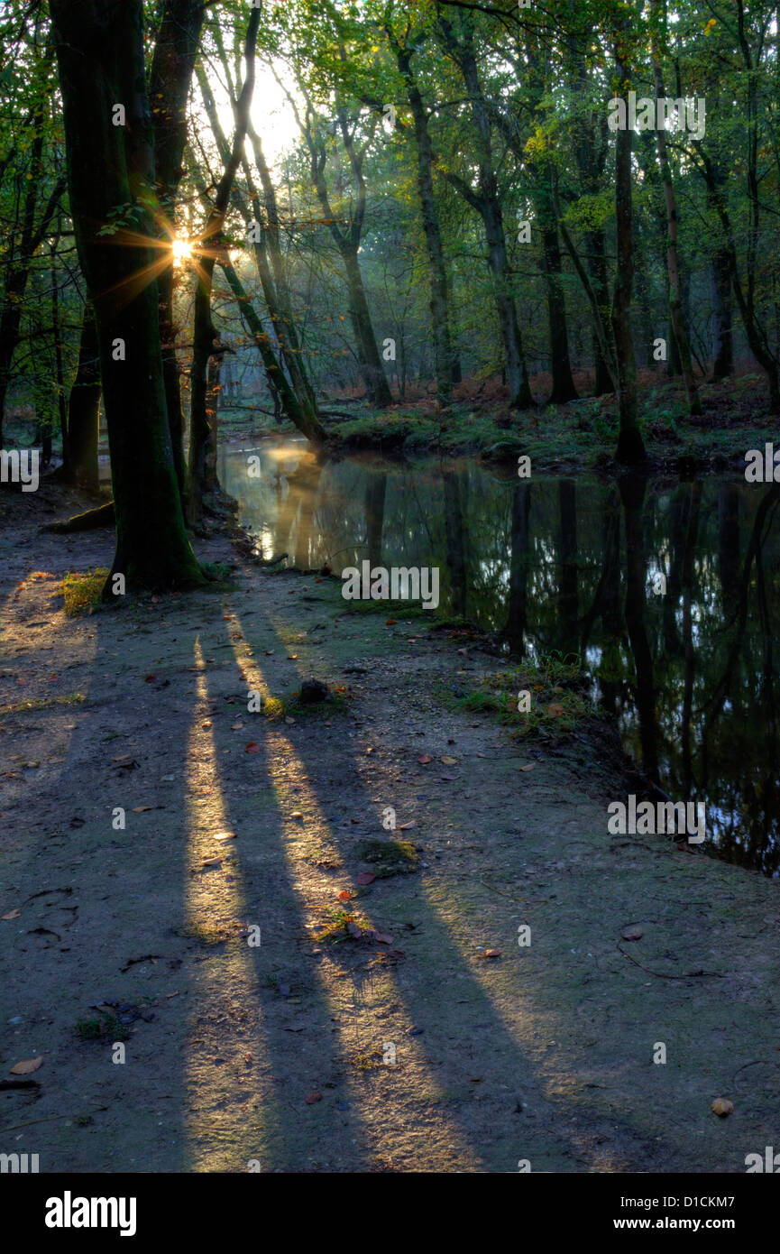 Early morning in the New Forest with sun beams bursting through the ...
