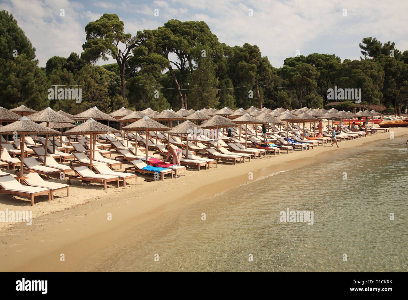 Koukounaries beach, the most famous beach in Skiathos, Greece Stock ...