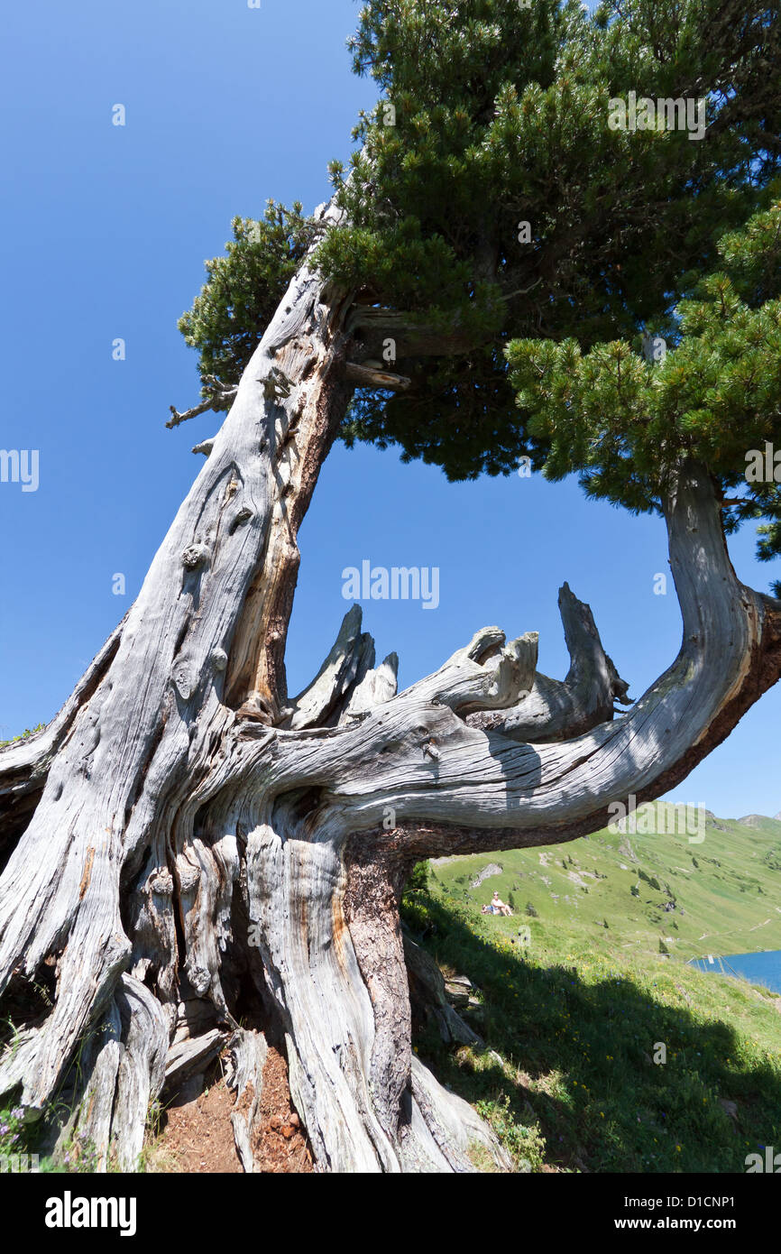 Svizzera alps hi-res stock photography and images - Alamy